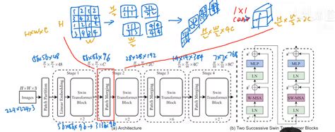 Swintransformer原理源码解读 知乎