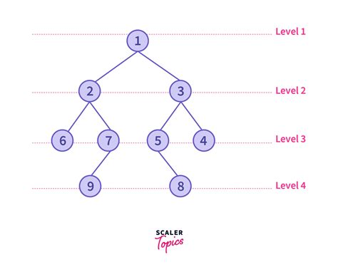 Print Right View Of A Binary Tree Scaler Topics