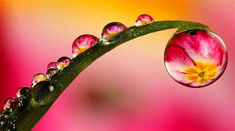 100 Water Drop Pictures