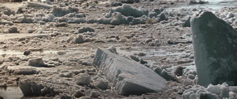 Gtm Part Of An Opening Scene Rguessthemovie