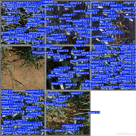 基于yolov8的小麦麦穗检测系统，支持图像、视频和摄像实时检测【pytorch框架、python源码】python图像判断小麦发芽率 Csdn博客