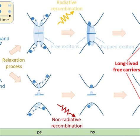 Sketch Of Carrier Dynamics In Monolayer Tmds The Trap Is A Surface Download Scientific Diagram