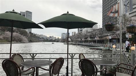 Canal Cafe Restaurants In Iidabashi Tokyo