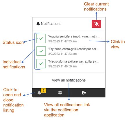 notifications and messages lucid help