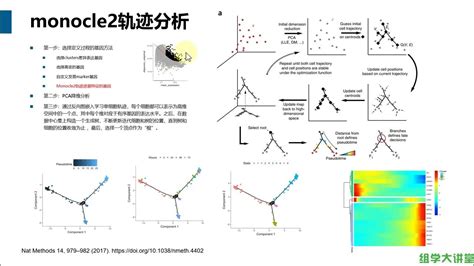 单细胞转录组数据分析实操 020 19 拟时序 轨迹分析 Monocle2（上） Youtube