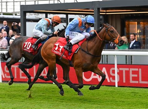 Ziggys Phoenix Middleham Park Racing