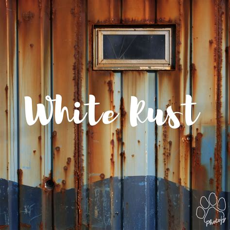 Ashley Luttrell The Magicians Wife Facebook