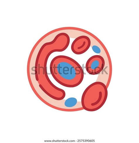 Dynamic Overview Hemoglobin Anatomy Illustration Stock Vector Royalty