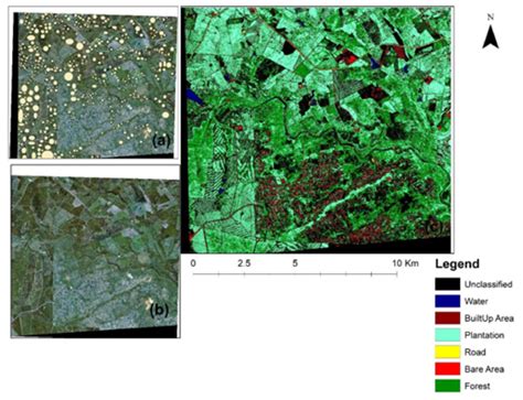 The Digital Globe Worldview 2 Imagery With 1 24 M Spatial Resolution Download Scientific