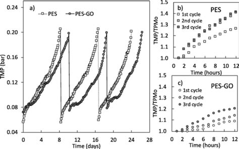 Transmembrane Pressure During The Experimental Period A And
