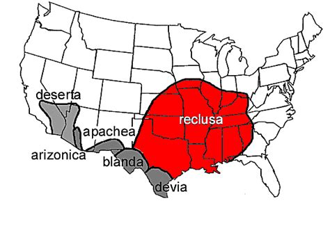 Brown Recluse Map Color 2018