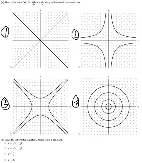 solved sketch slope field for dy dx y x along with