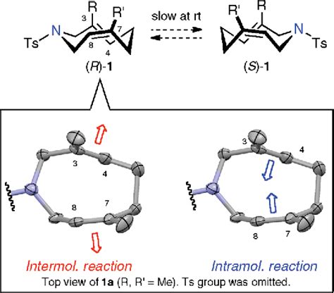 Figure 1 From Stereoselective Multimodal Transformations Of Planar Chiral 9 Membered Diallylic