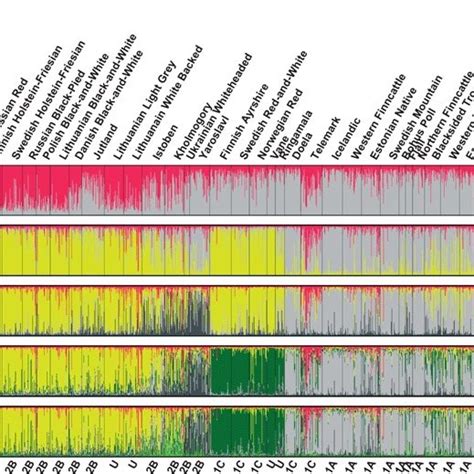 Population Structure Of 48 Cattle Populations Using Model Based