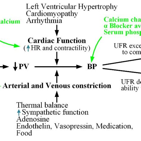 Relationship Between Bp And Baroreceptor Reflex [39] Download