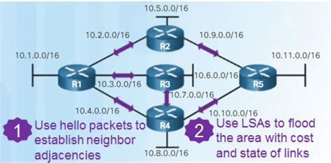 Scaling Networks V6 0 Instructor Materials Chapter 8 Single Area Ospf