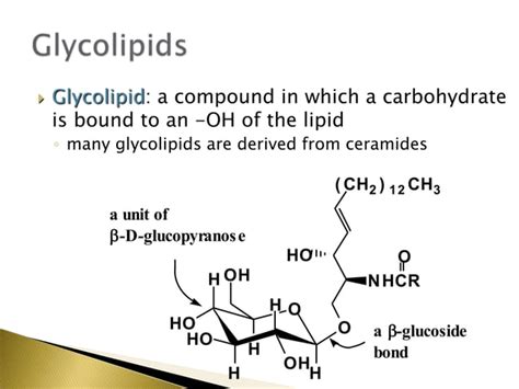 Lipid Ii Complex Lipidspptx