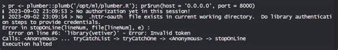 R Deploy Tidymodel Model To GCP Using Docker And Vetiver Stack Overflow