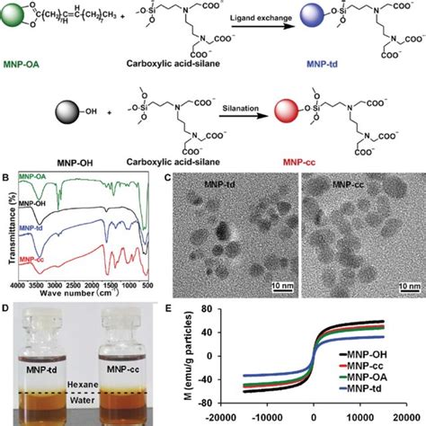 Synthesis And Characterization Of Mnps A Scheme Showing The Download Scientific Diagram