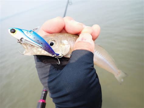 「望む物と望まない物は表裏一体なのです」 その昔、本で読んだ気がします。。。 読んだ時は納得したとこも、あったけど 今回は違う！ 君じゃない