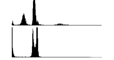 Histogram Of Discrete Sampling Points Of Boundaries Above Histogram Download Scientific