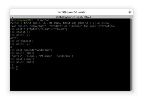 Python Array Programmieren Lernen