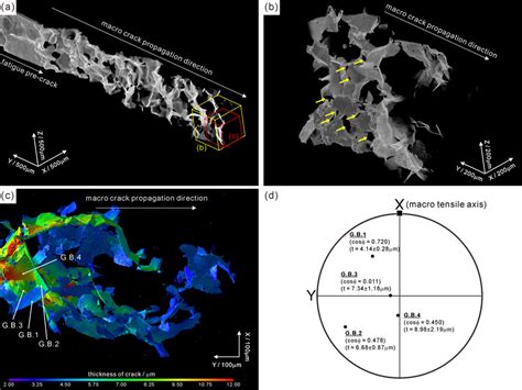 3d Crack Propagation Morphology Reconstructed By X Ray Computed
