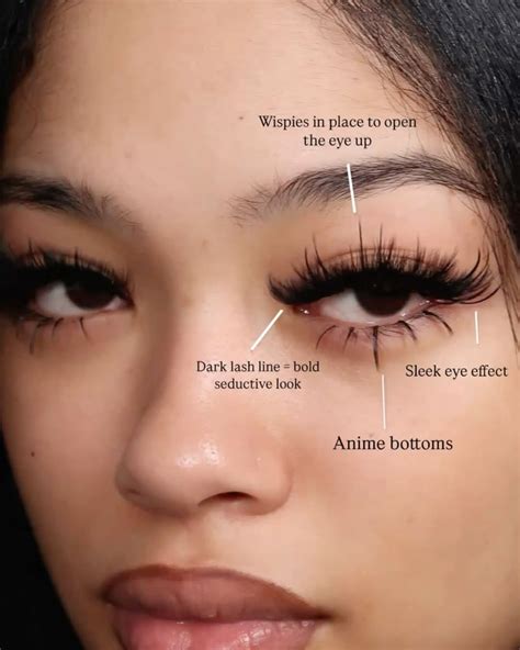 15 Lash Map Ideas In 2025 Lashes Fake Eyelashes Perfect Eyelashes Pretty Lashes