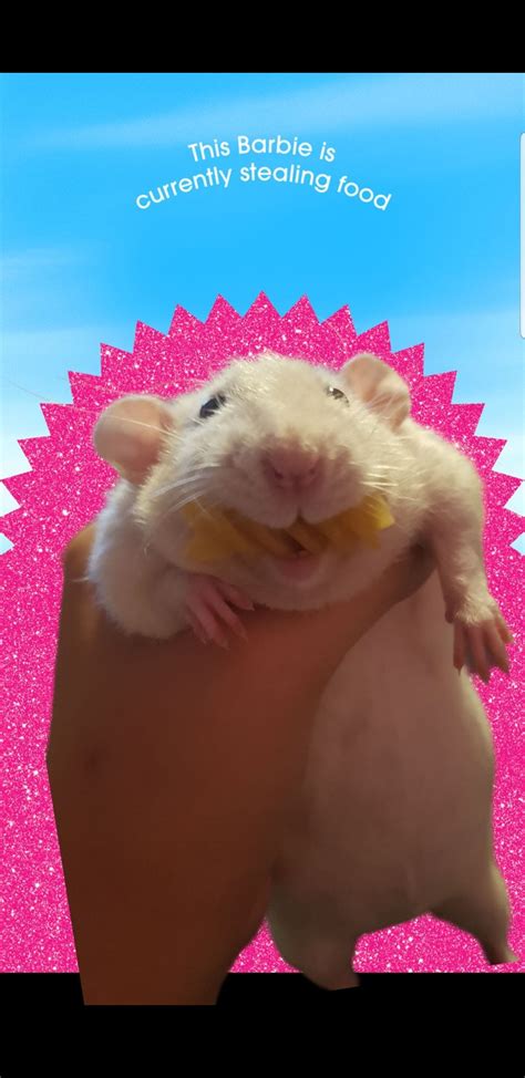 This Barbie Is A Rat Rrats