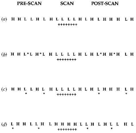 Diagrammatic Representation Of Pseudorandom Stimulus Sequences A A Download Scientific