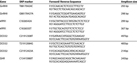 Primer Sequences Snp Markers And Pcr Product Size Of Various Candidate