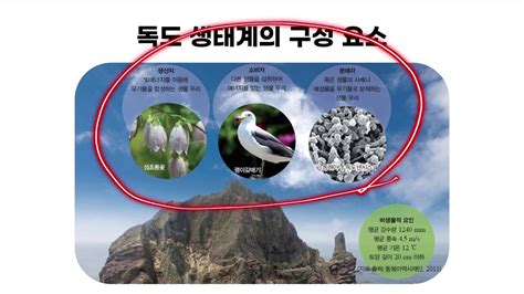 월계고 통합과학 6차시 빛과 바람과 물 그리고 생명 Youtube