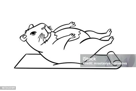 귀여운 카피바라가 요가를 하고 있습니다 벡터 일러스트 레이 션 손으로 그렸습니다 색칠 공부 책 엽서 템플릿 겨울에 대한 스톡 벡터 아트 및 기타 이미지 Istock