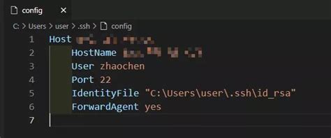 Vscode使用remote Ssh连接远程服务器 Vscode Remote Ssh