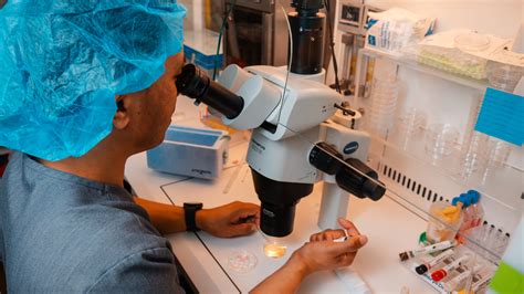 Sperm Sex Selection Rockefeller Fertility Center