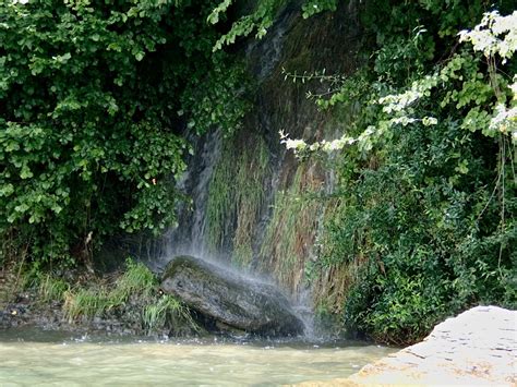 Nach Dem Regen Fällt Das Wasser Die Gelegentliche Dosis Wald Und See