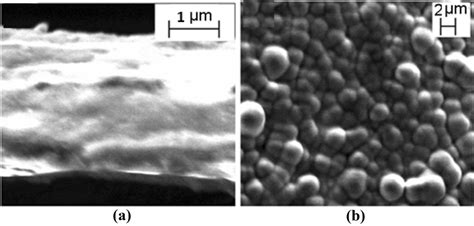 Fe Sem Image Of The Zno Nanowire Array After Parylene C Coating A Download Scientific Diagram