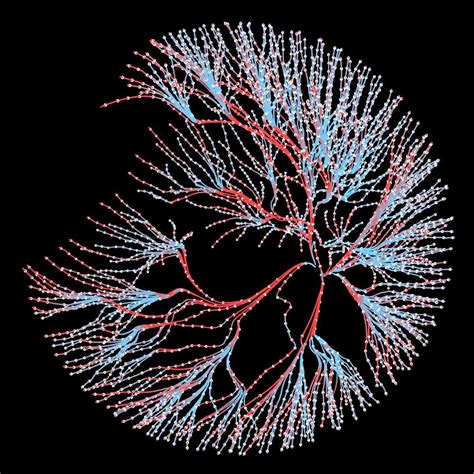 Grasshopper Lvl 2 Growth Decode Fab Lab