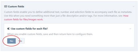 Cloning Images Field Does Not Clone Custom Fields · Issue 1730