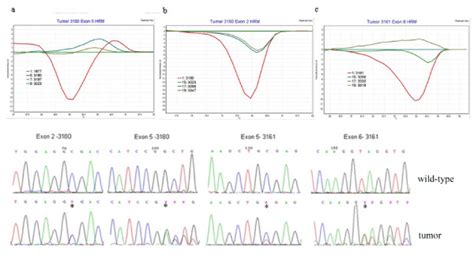 Smarcb1 Mutation Screening By Hrm In Tumors 3180 And 3161 Figure 1 Download Scientific Diagram
