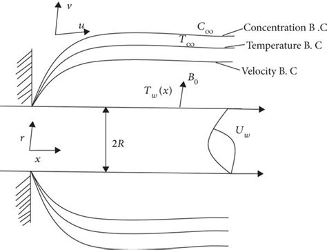 The Flow Coordinate System And The Flow Configuration Download