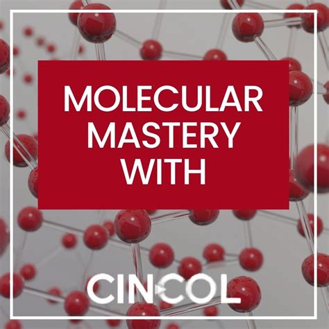 Cincol On Linkedin Cincol Diversity Culture Offeroftheday