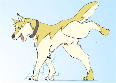 Rule 34 Animal Genitalia Animal Penis Balls Black Nose Blue