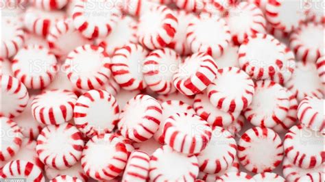 Playing In The Zedarsmp English Youtube