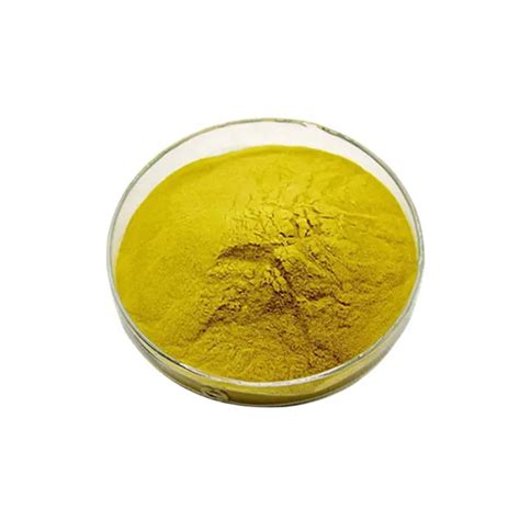 Phellodendron Extract Manufacturers Phellodendron Extract Suppliers