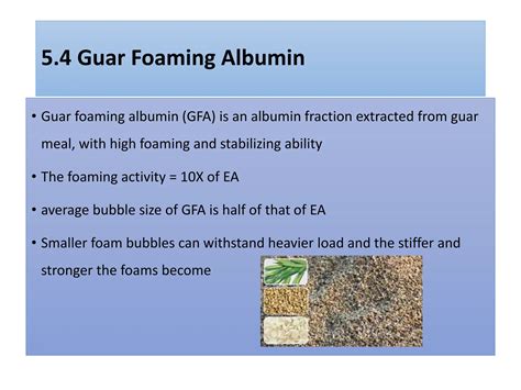 Foam Mat Drying Pptx Pptx