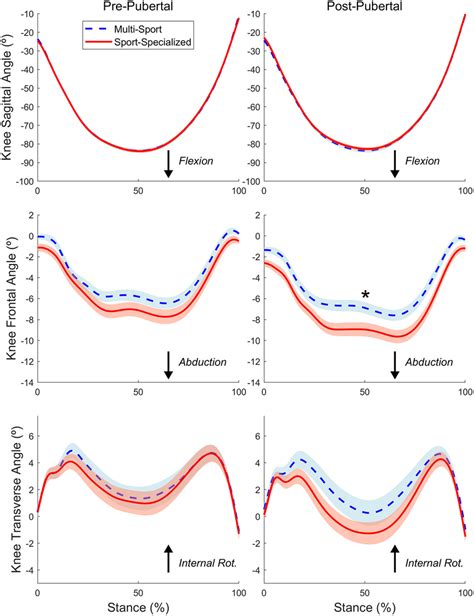The Time Normalized Knee Joint Angular Motions In The Sagittal Top Download Scientific