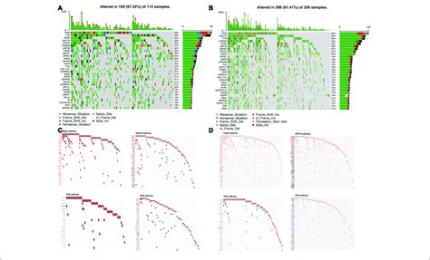 Visualization Of The Mutation Profile Signature In Each Cluster Download Scientific Diagram