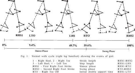 figure 1 from temporal spatial parameters of gait with barefoot