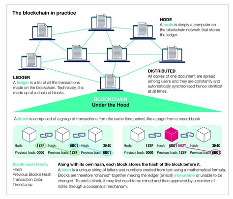 Digitalizing Seed Certification Seed World